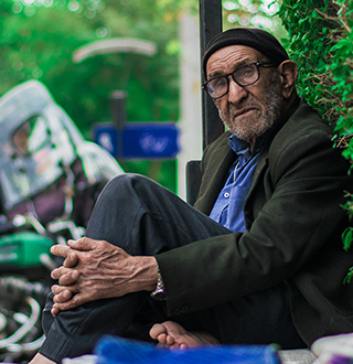 The Academy of Life Sciences